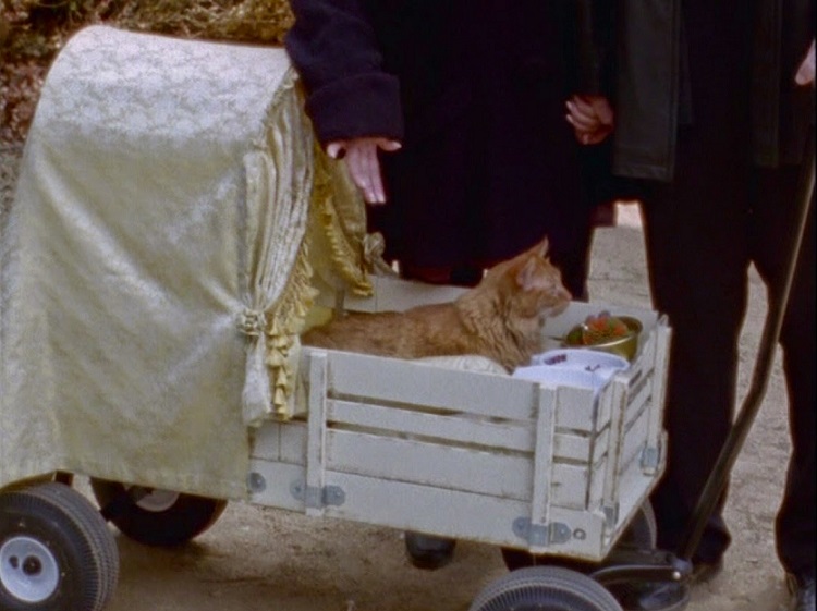 Cinnamon – The Annotated Gilmore Girls