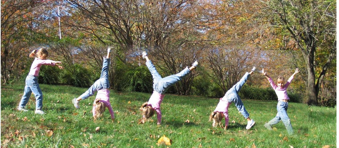 Quilting Convention, Cartwheels – The Annotated Gilmore Girls