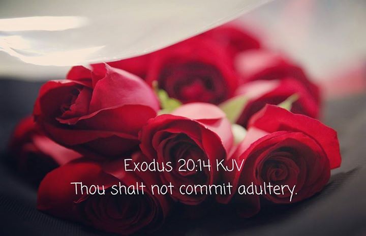 The Seventh Commandment – The Annotated Gilmore Girls