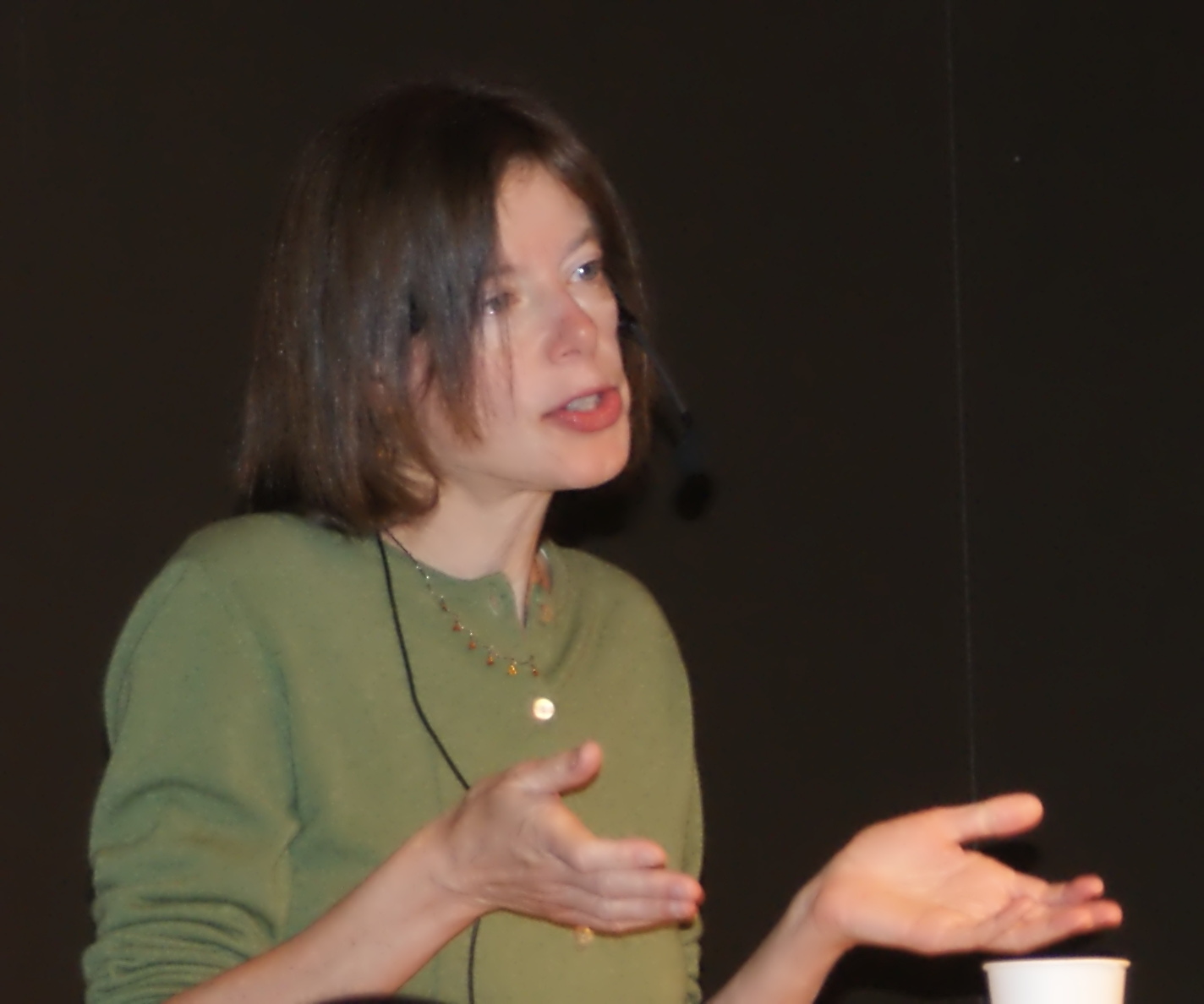 Susan Faludi – The Annotated Gilmore Girls